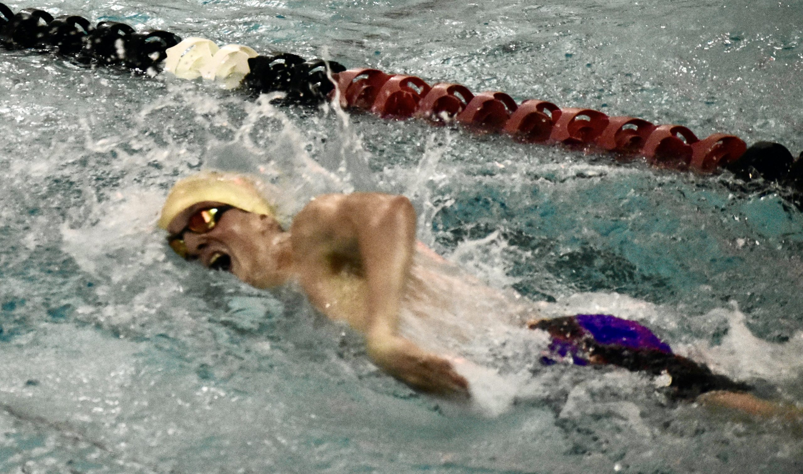 Bears swim team wins Class C at Sectionals | News, Sports, Jobs ...